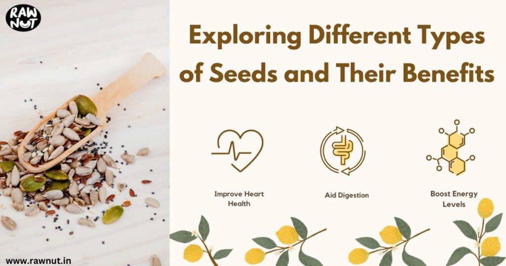 Different Types of Seeds and Their Health Benefits